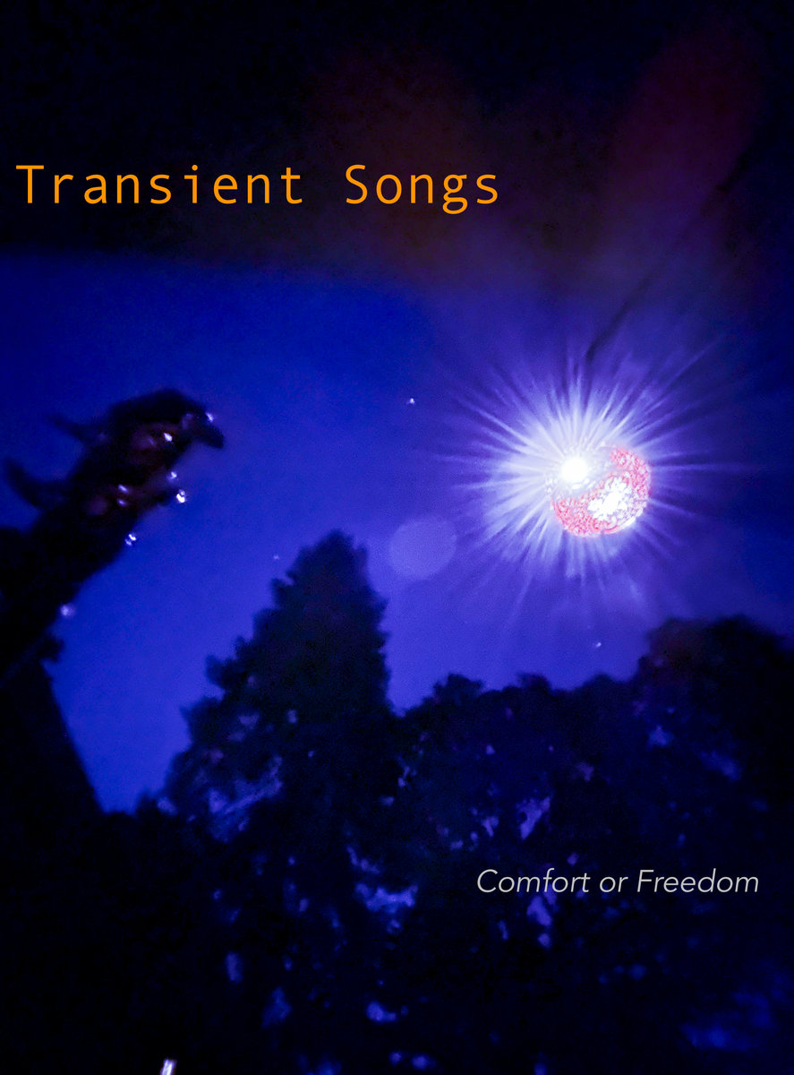 Comfort or Freedom | Transient Songs