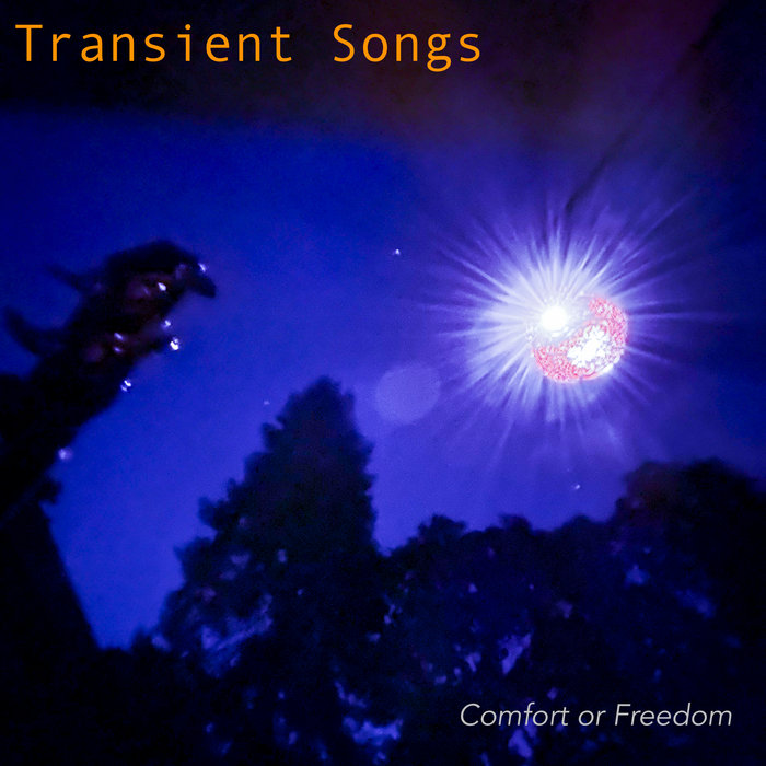 Comfort or Freedom | Transient Songs