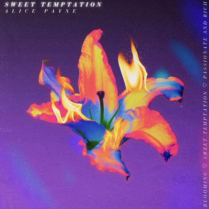 Sweet Temptation | Alice Payne