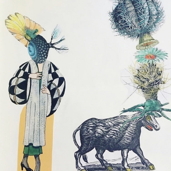 Angel Archer | Angel Archer