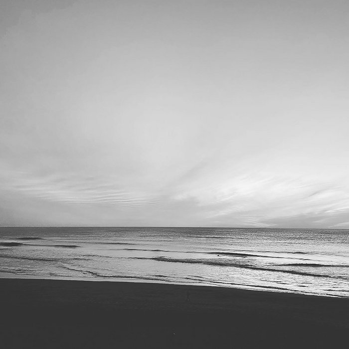 Companion | megan keely