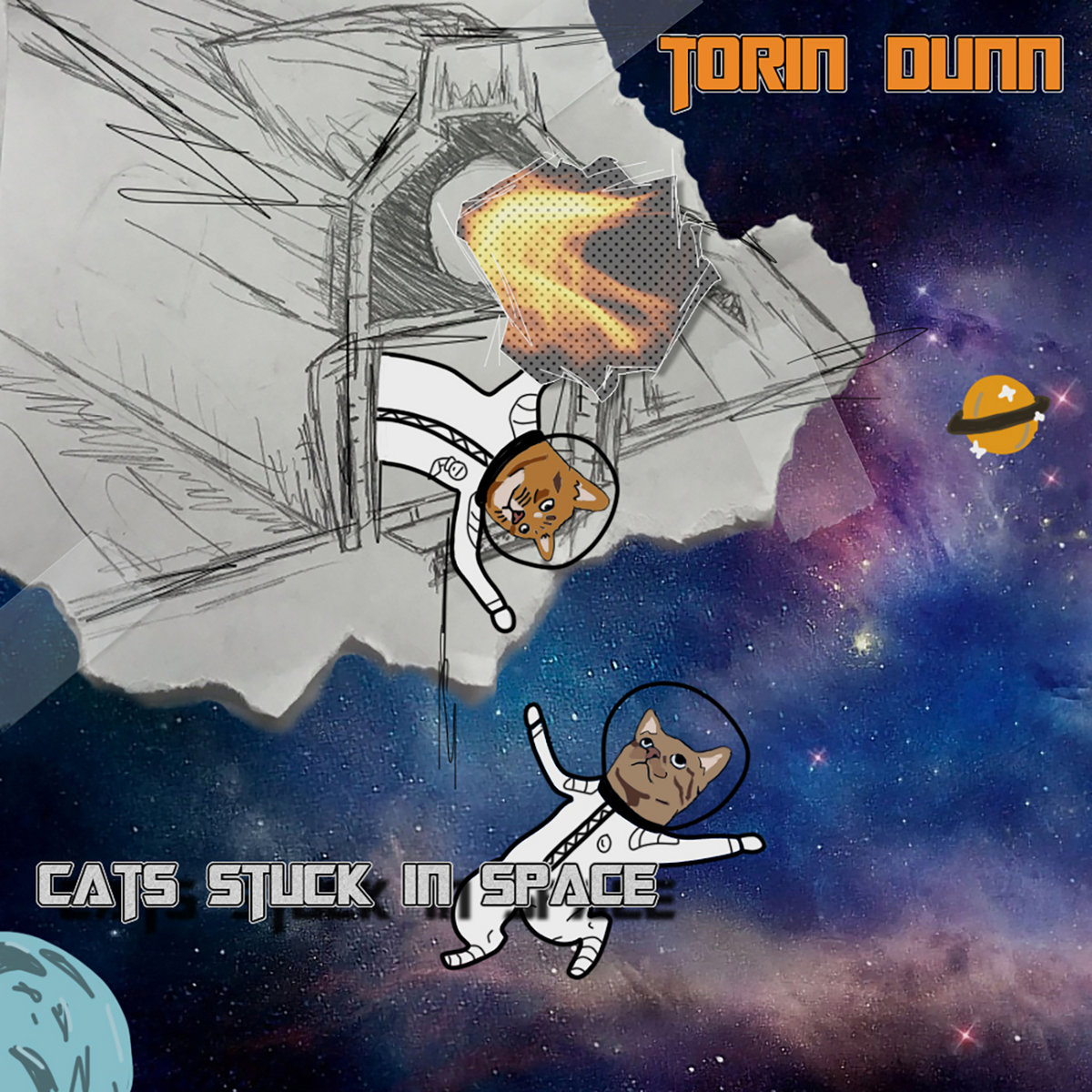 Cats Stuck In Space | Torin Dunn