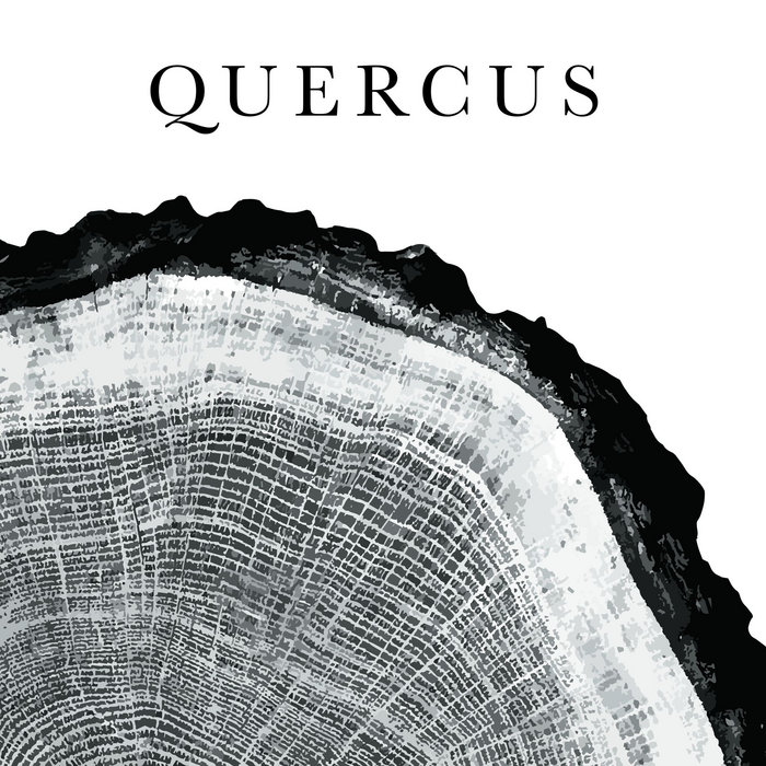 FOLIUM | Quercus