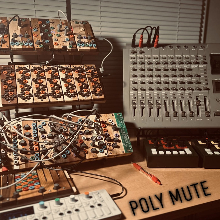 Poly Mute | Poly Mute