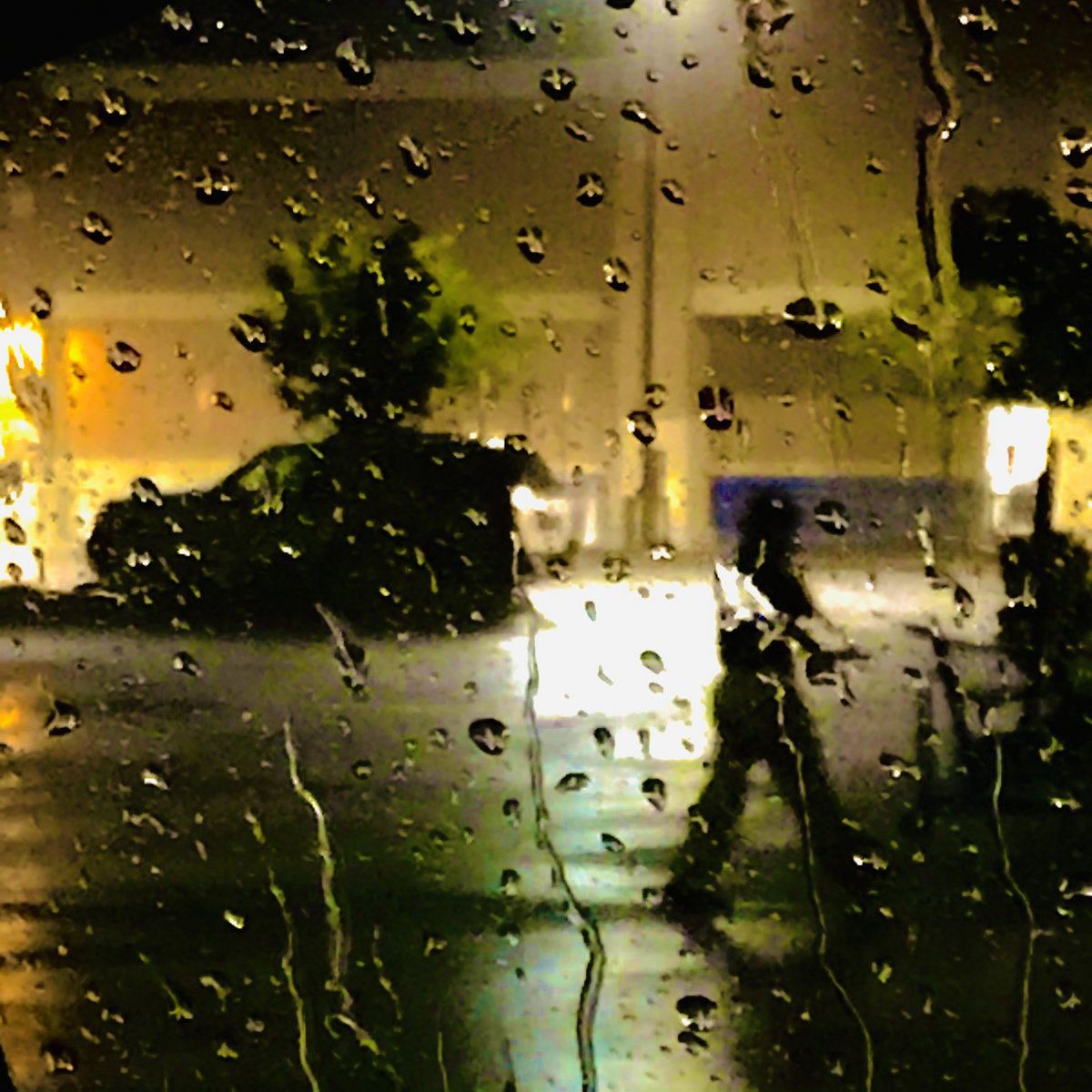 Obscured Vision | Opposition.