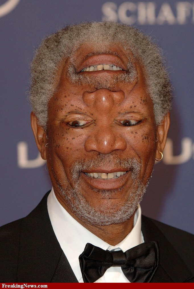 I Don't Give A Shit | Organ Freeman