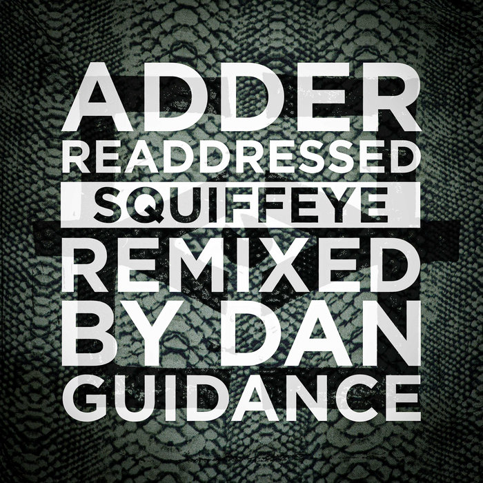 Adder Readdressed | SquiffEye & Dan Guidance | SquiffEye