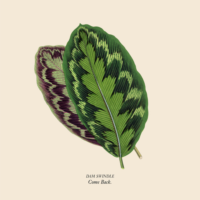 Come Back EP | Dam Swindle