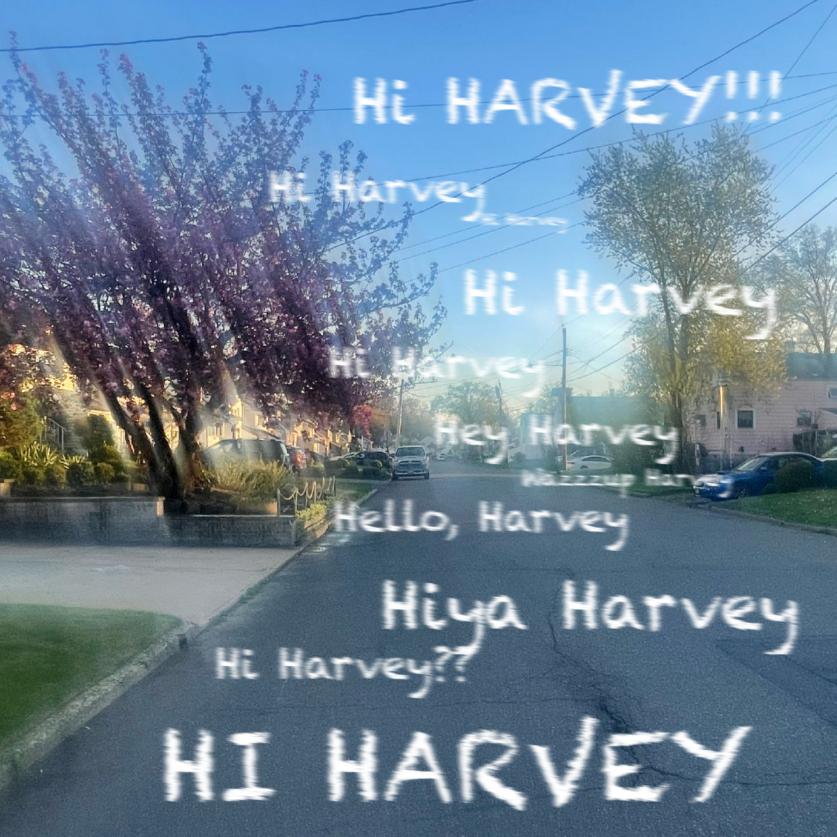 Hi Harvey | Harvey