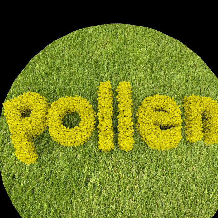 Words | Pollen.