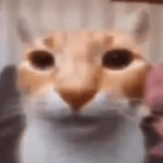 Dreamscape | 009 Sound System | xDummies