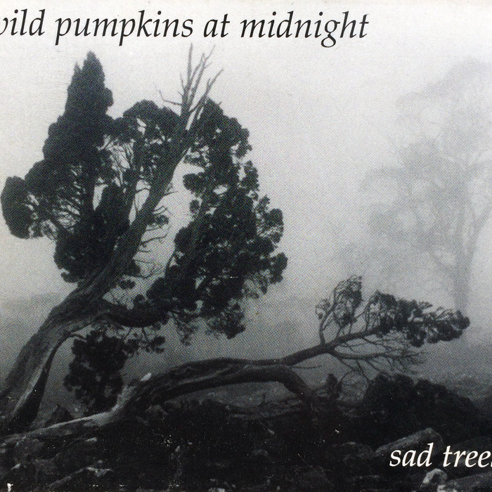 Sad Trees | Wild Pumpkins at Midnight