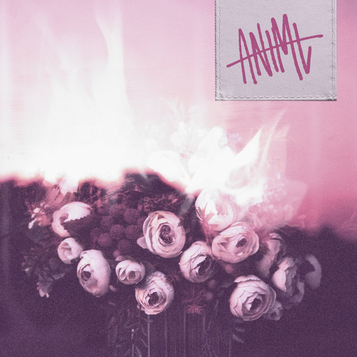 Everything Changed Acoustic Version An1ml