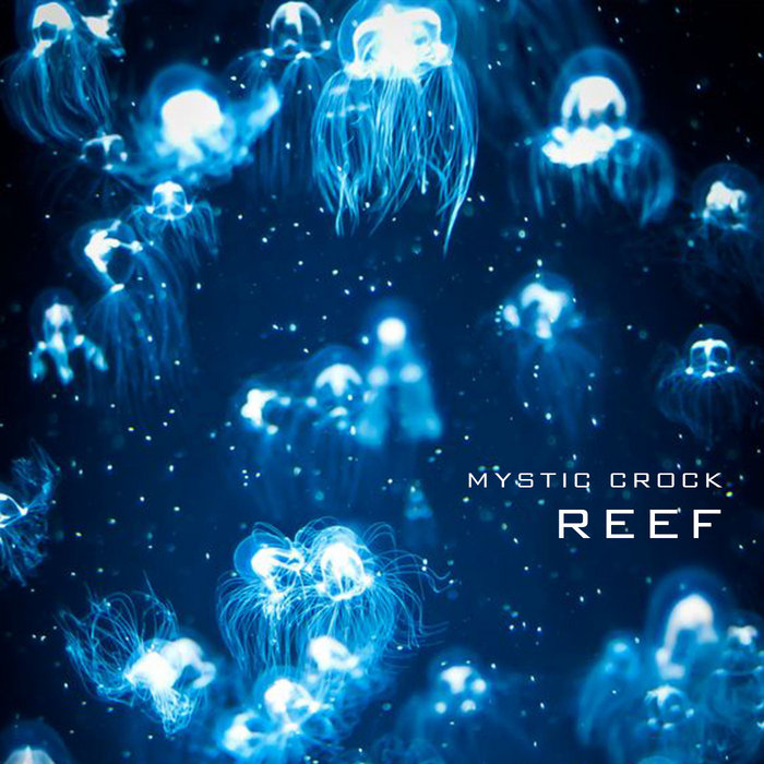 Reef | Mystic Crock