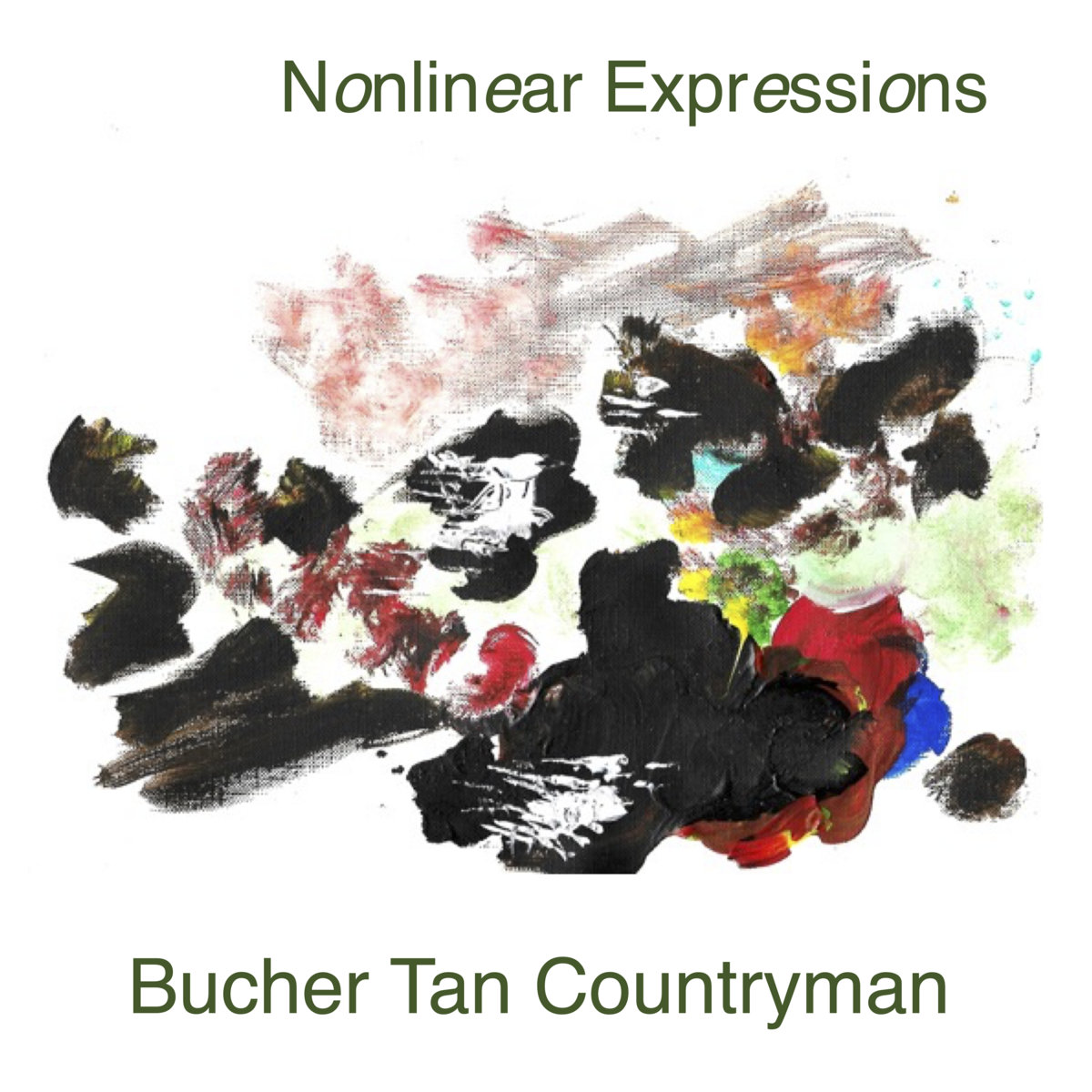 Nonlinear Expressions | Bucher Tan Countryman | Rick Countryman