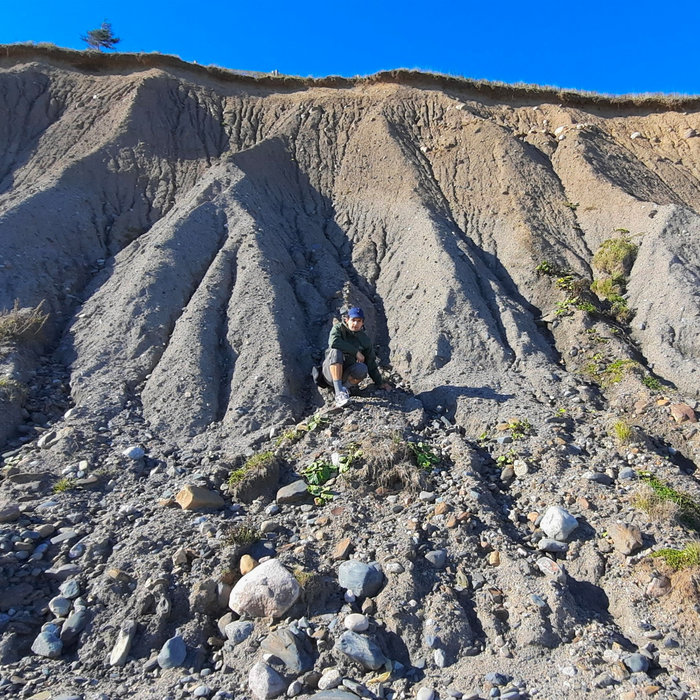 Roads Tell Stories | emaris