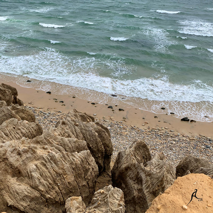 Montauk Surf | Billy Martin