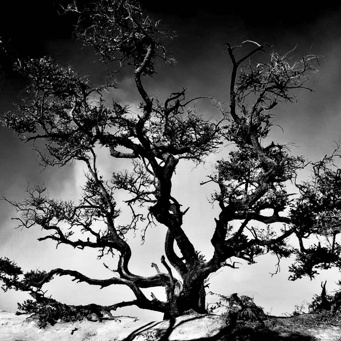 Translunar Injection [LPR041] | Enoc | Loopaina Records