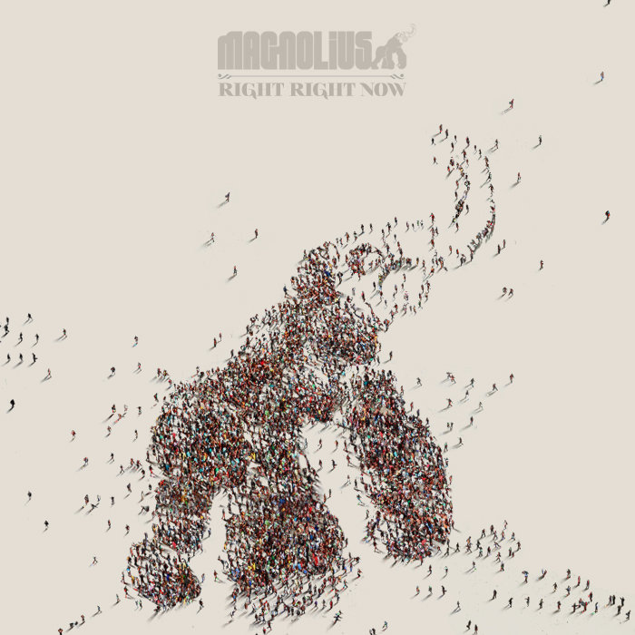 Right Right Now | MAGNOLIUS