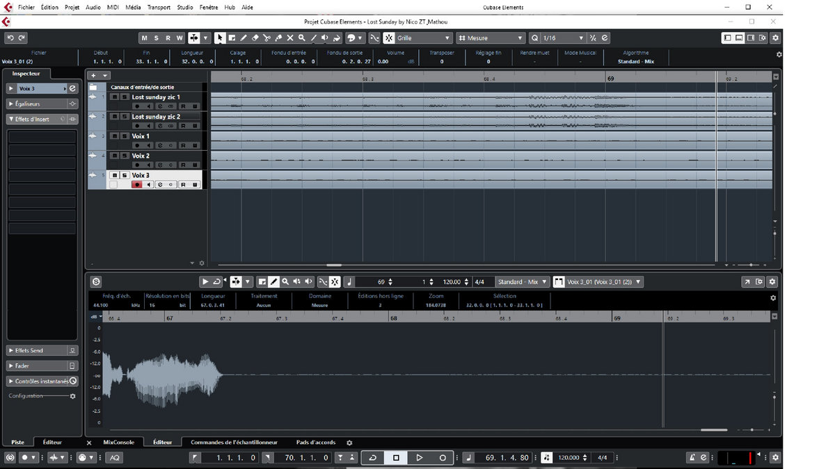 Solo Projects | Nico ZT (Singer, guitarist, bassist)