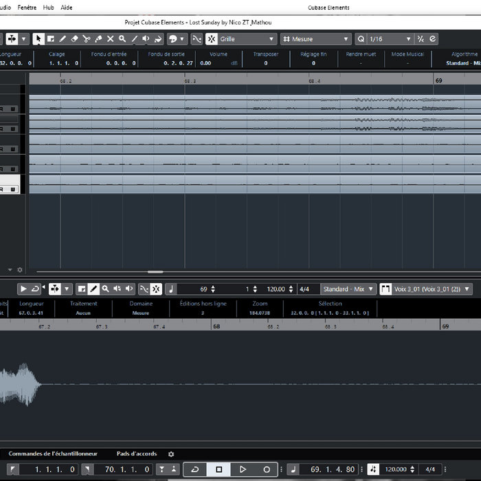 Solo Projects | Nico ZT (Singer, guitarist, bassist)