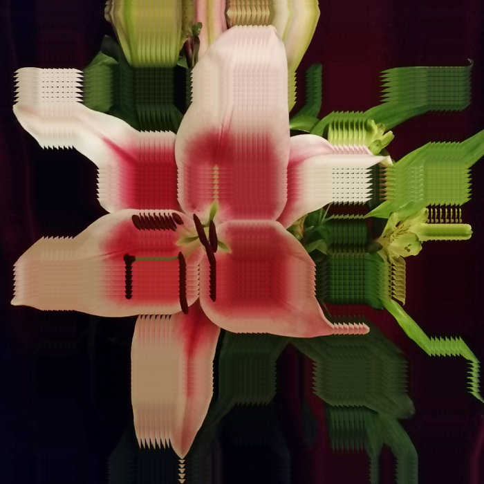 HAPPY TAIL | discord