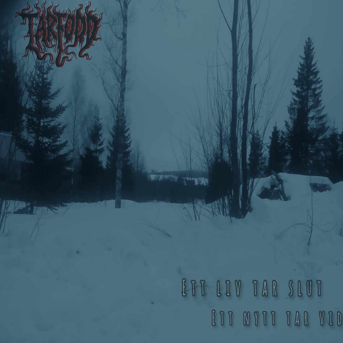 Ett liv tar slut.....Ett nytt tar vid (EP) | Tårfödd