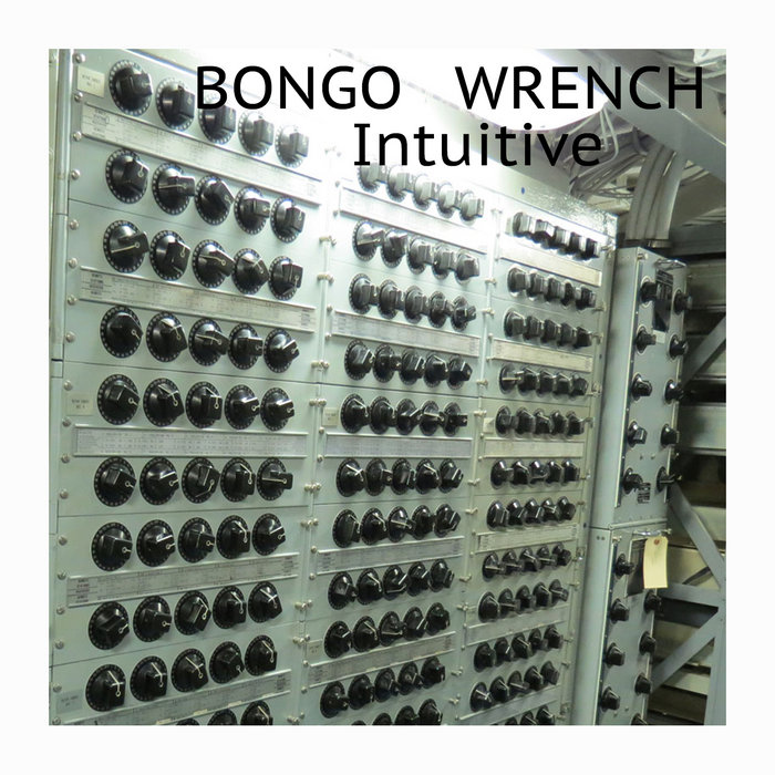 Intuitive | Bongo Wrench | Kevin Andrews
