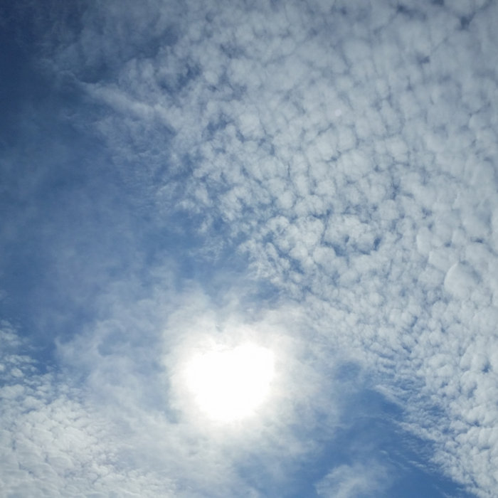 (Ode to the) SpaceChildren | lisa roma | lisa roma / electrikgoddess