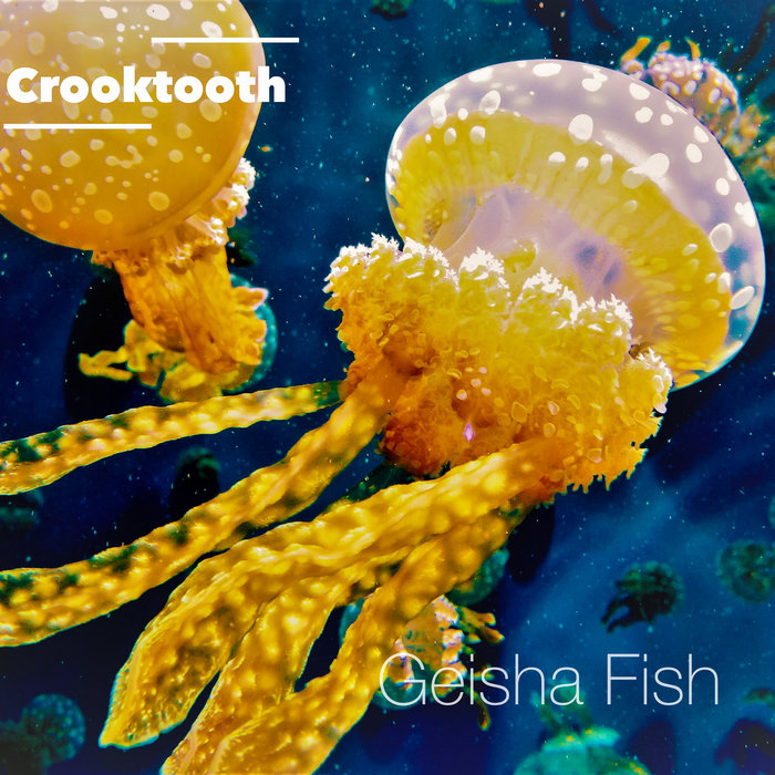 Geisha Fish | J. Pereira