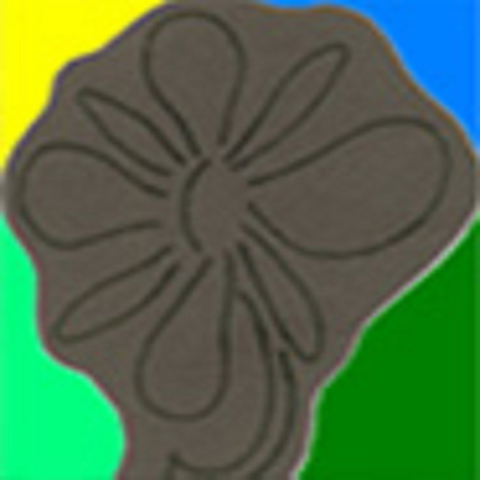 Different Senses | ben hammer