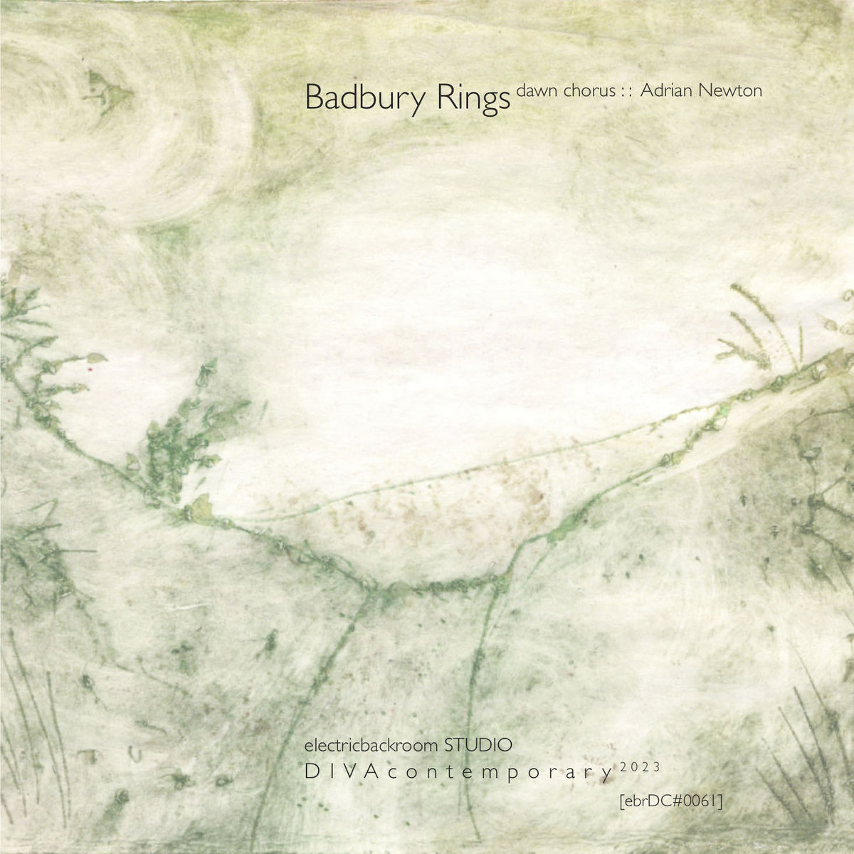 Badbury Rings : : dawn chorus | Adrian Newton | DIVAcontemporary