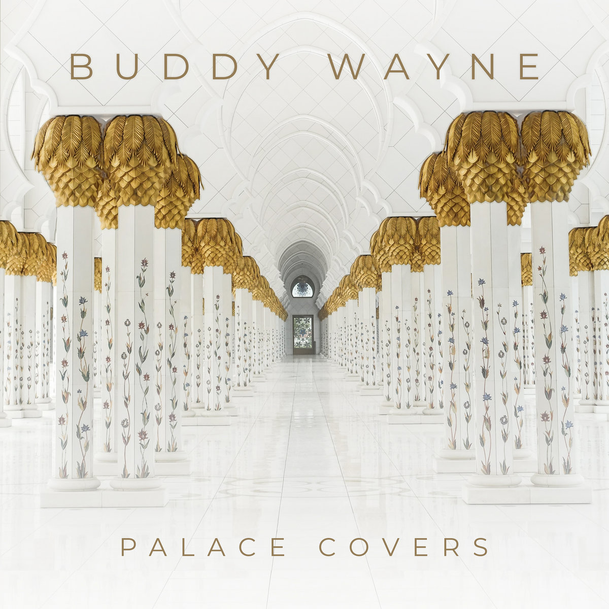 Palace Covers | Buddy Wayne