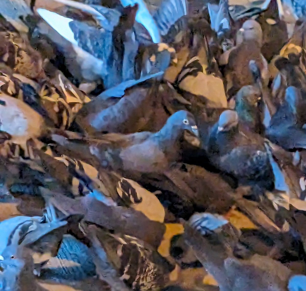 clstr | clstr | Yoshi Maclear Wall