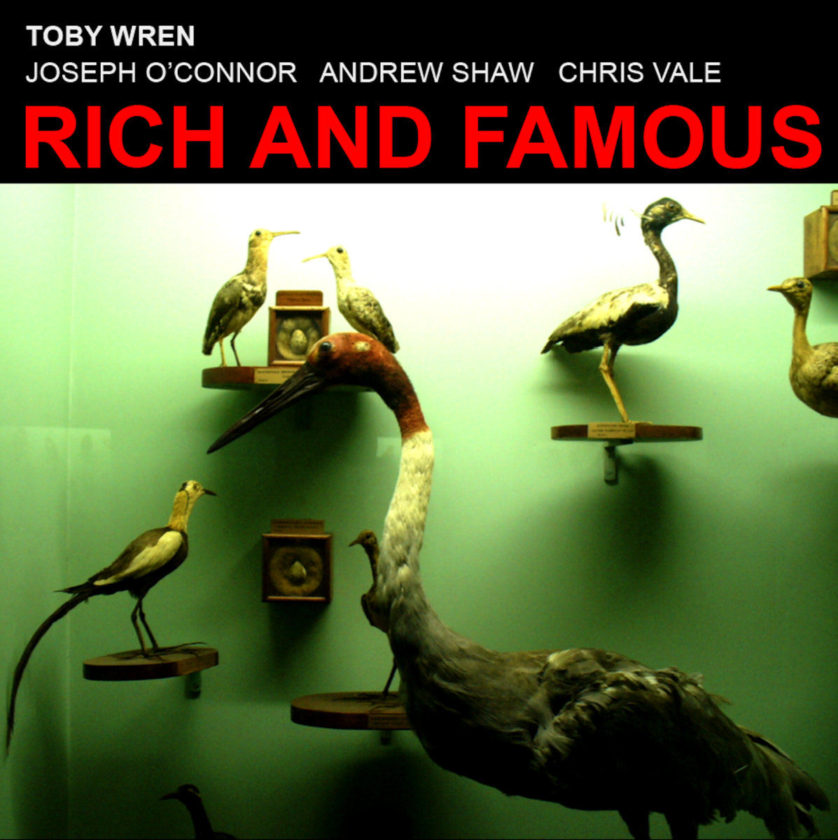 Rich and Famous | Toby Wren