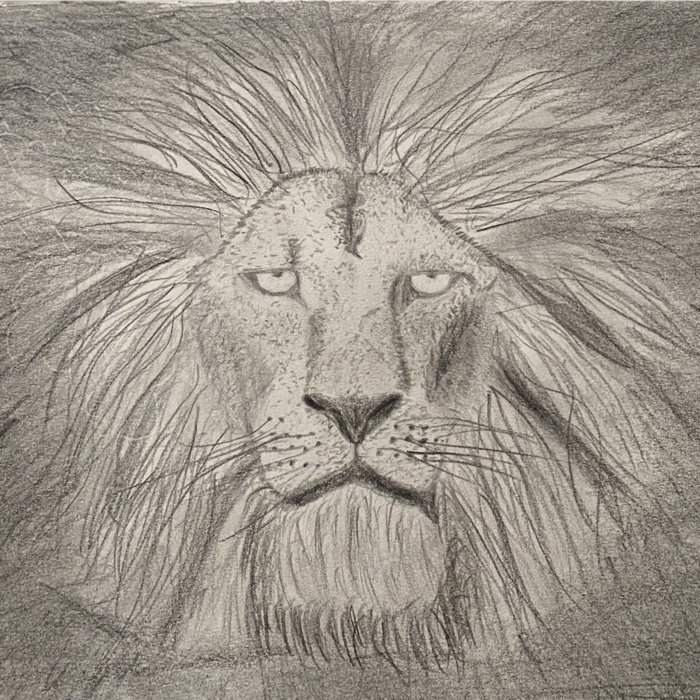 Lions | Michael Mayes