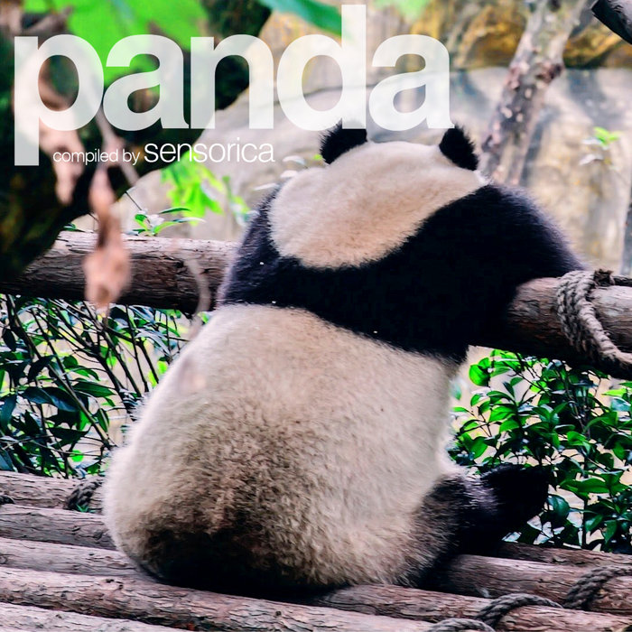 Panda Volume Two | Sensorica