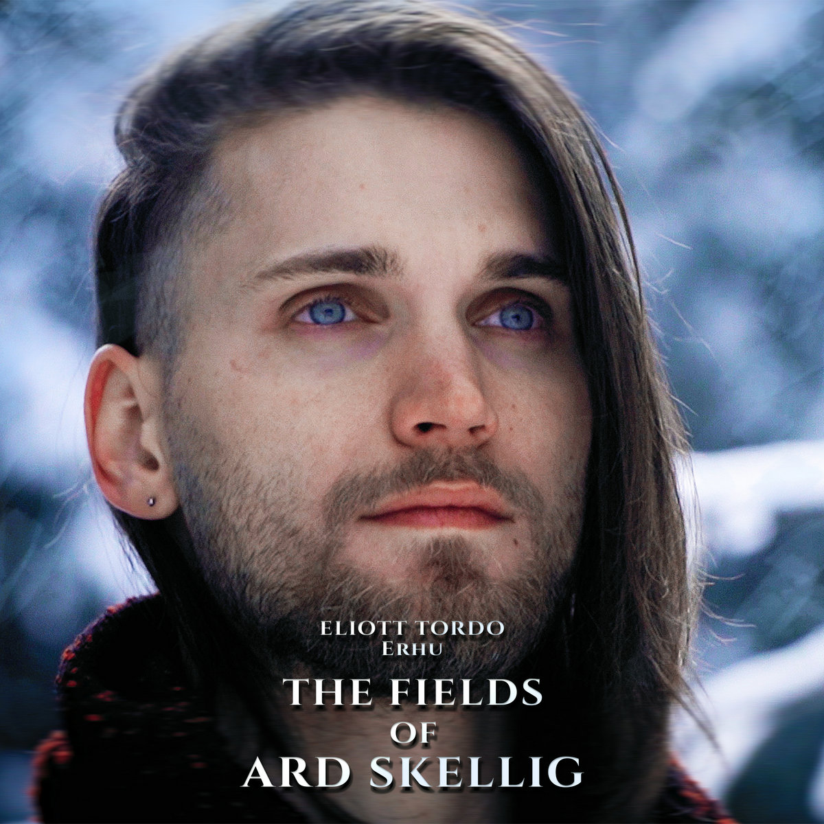 The Witcher 3 : The Fields Of Ard Skellig - Erhu Cover | Eliott Tordo