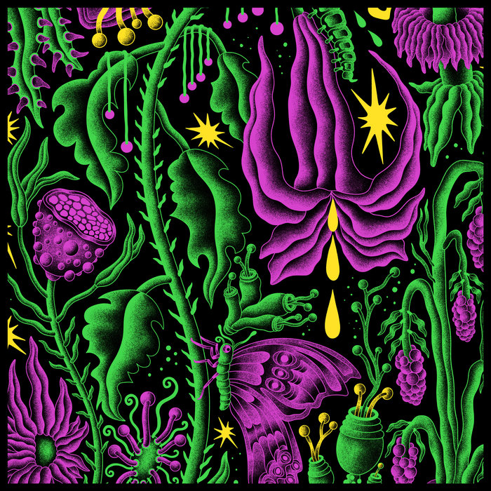 Smoke & Mirrors (Live in Tilburg '25) | King Gizzard & The Lizard ...