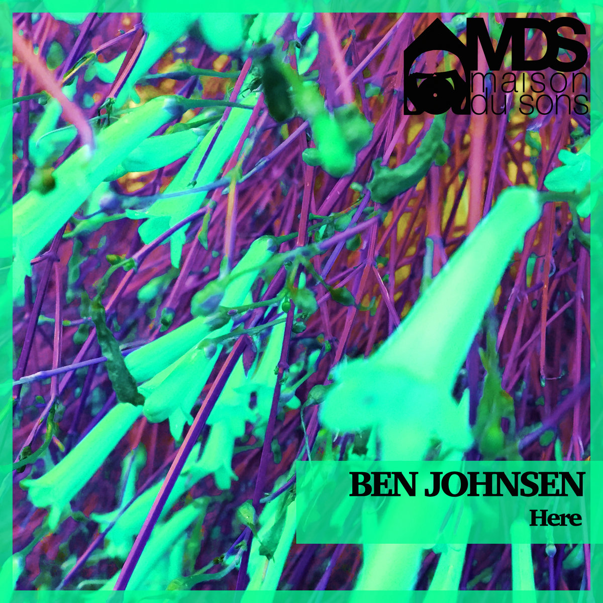 Here | Ben Johnsen