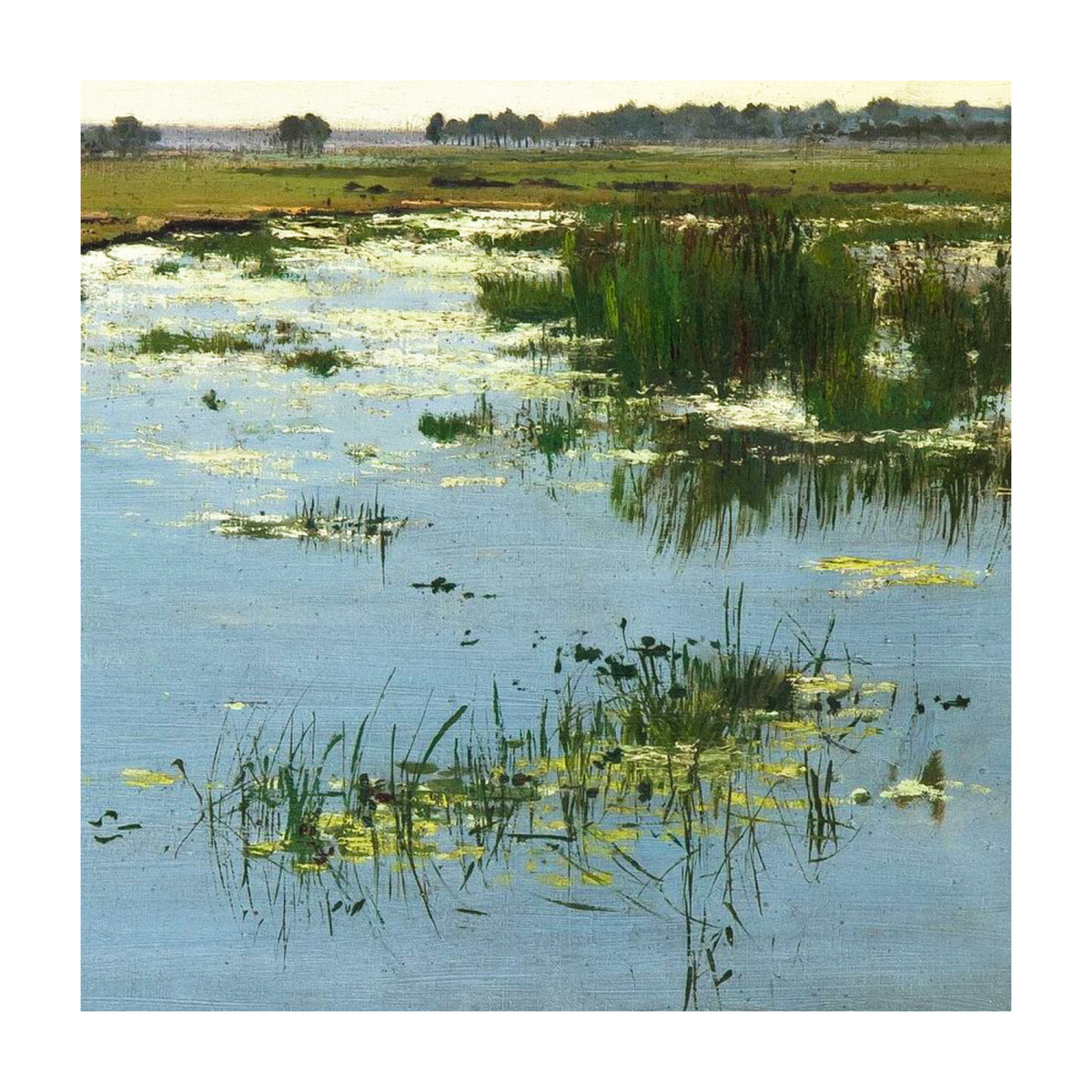 Ćwiczenia ze słonecznej intuicji | Bruno Janiszewski