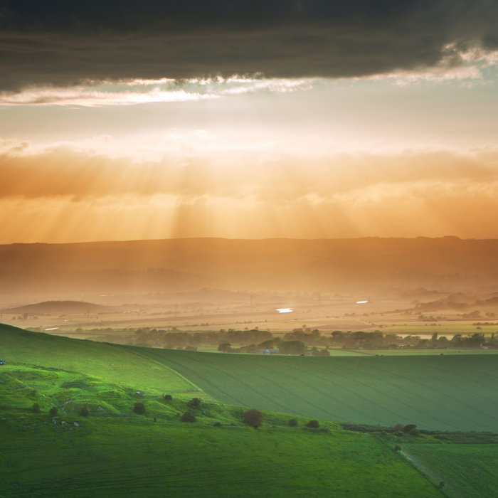 Basking In Light | Eltronik