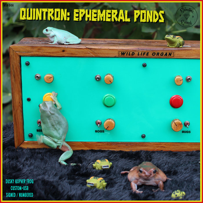Ephemeral Ponds | QUINTRON | QUINTRON and MISS PUSSYCAT
