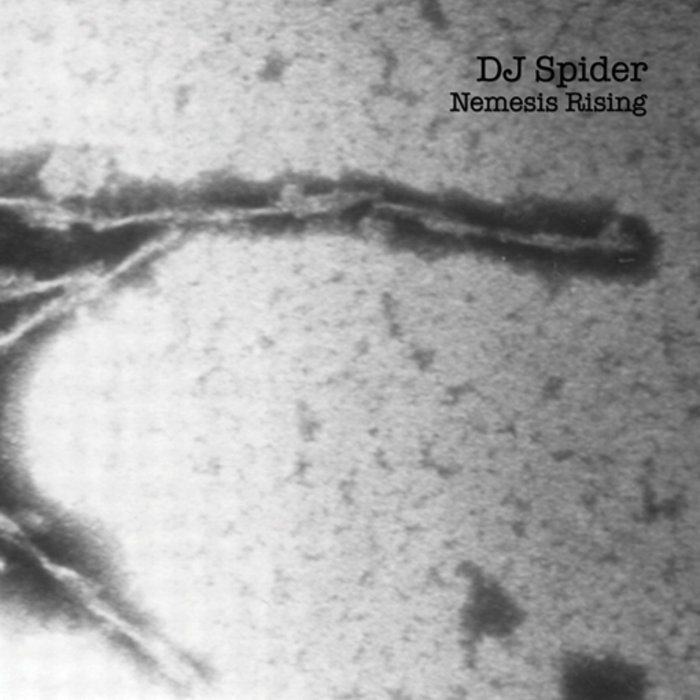 "Nemesis Rising LP" - DJ Spider (Double 12" Vinyl) 2013 | DJ Spider ...