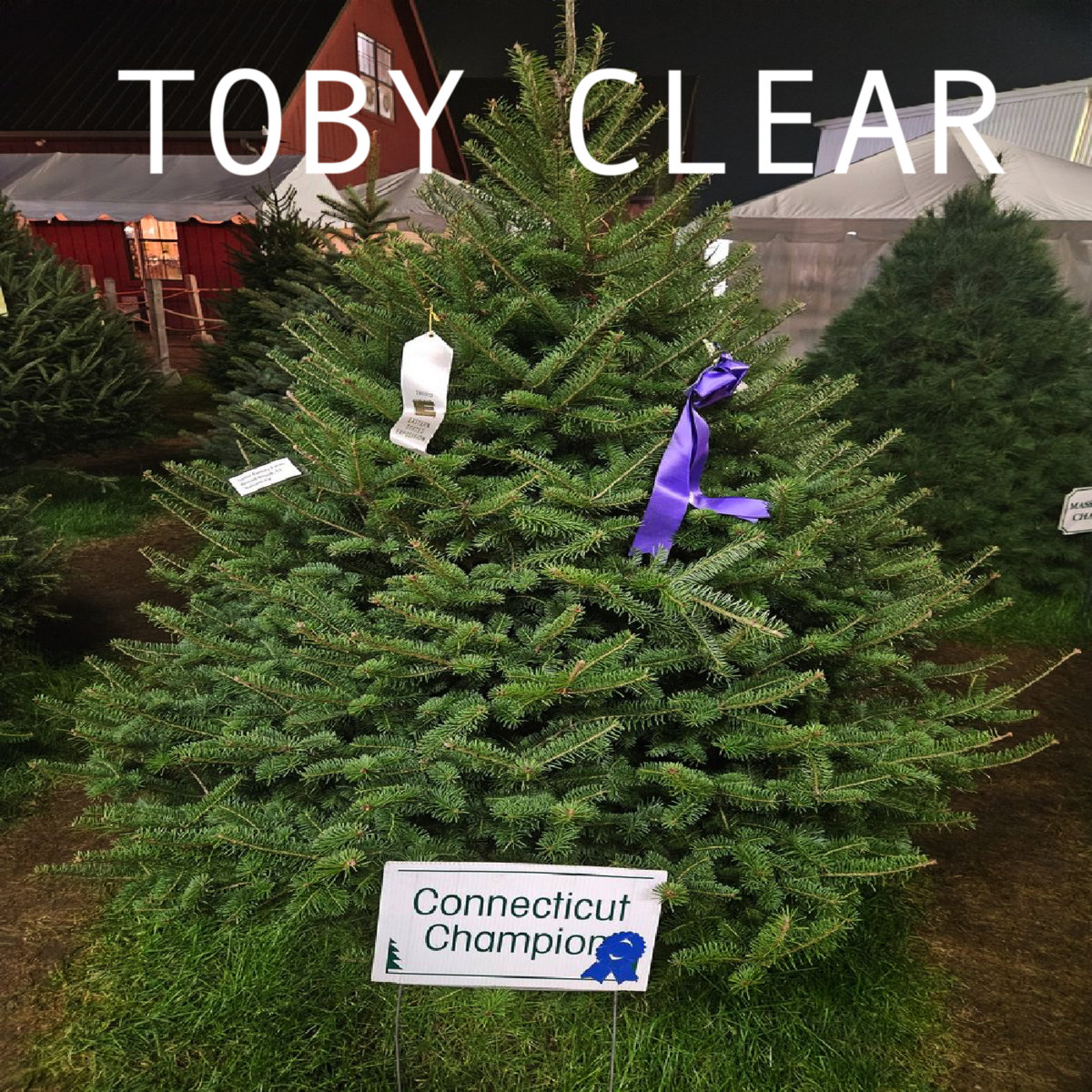 Connecticut Champion | Toby Clear