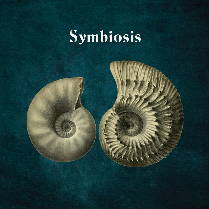 Symbiosis | Hydrogen Sea