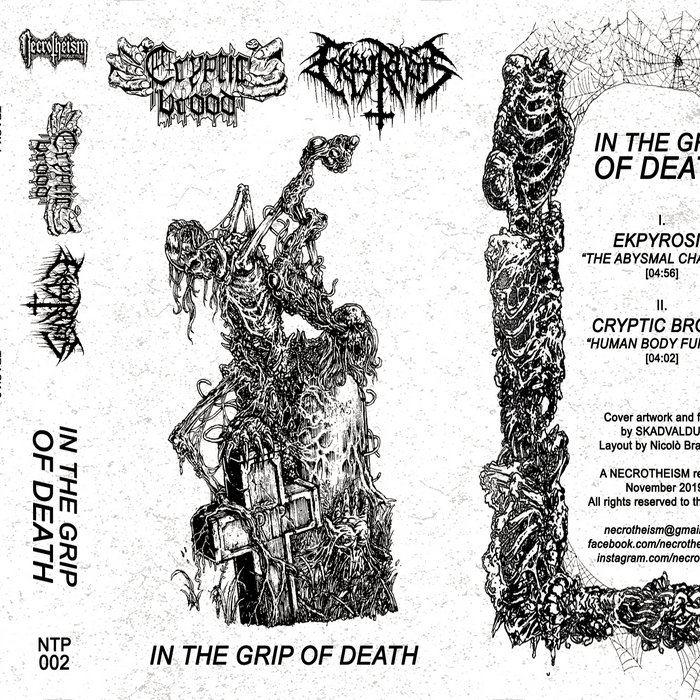 Human Body Fungus - EKPYROSIS / CRYPTIC BROOD Split MC | Cryptic Brood