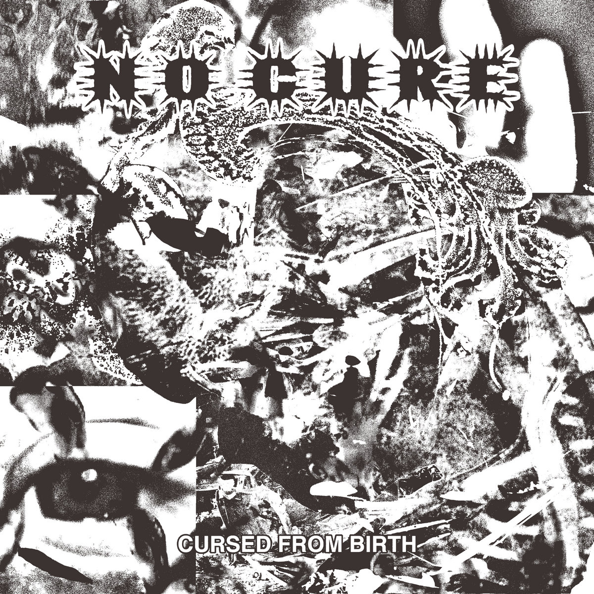 Cursed From Birth | No Cure