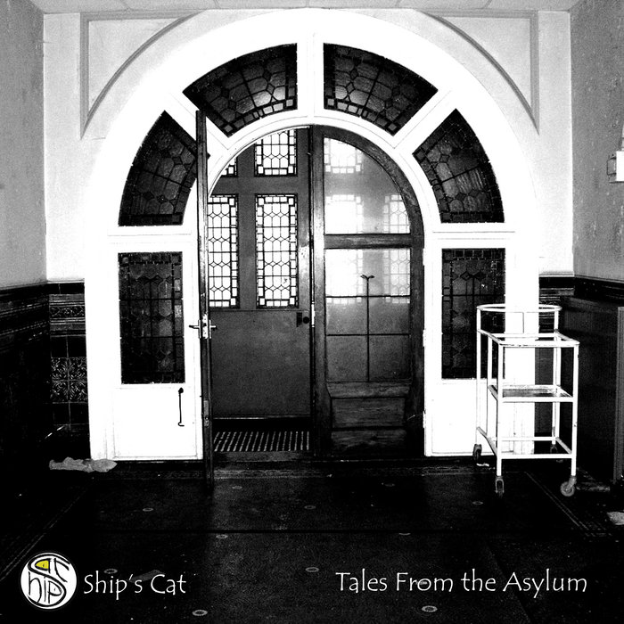 Tales From the Asylum | Ship's Cat