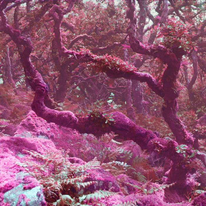 Alexander Painter EP | Alexander Painter